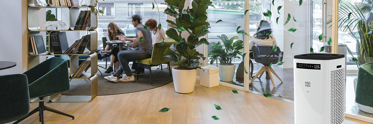 Air Purifiers – Ryco Air Quality